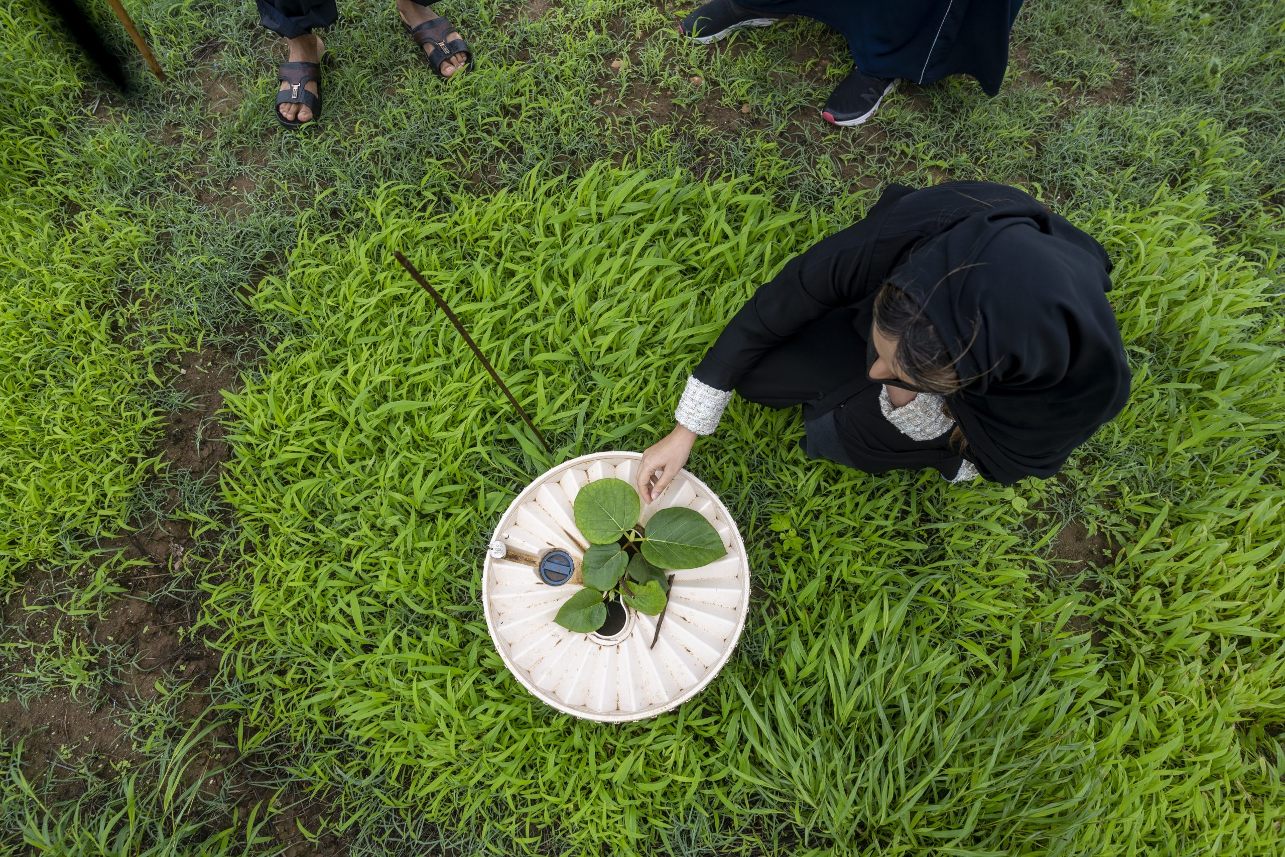 Destination Sustainability Oman – Act responsible, think sustainable.